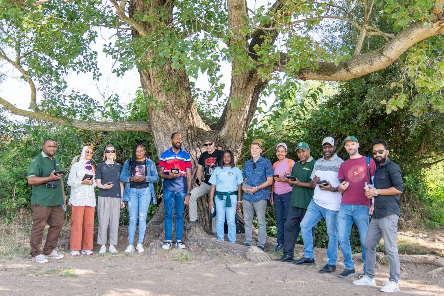 Arena Mobile – Open Foris