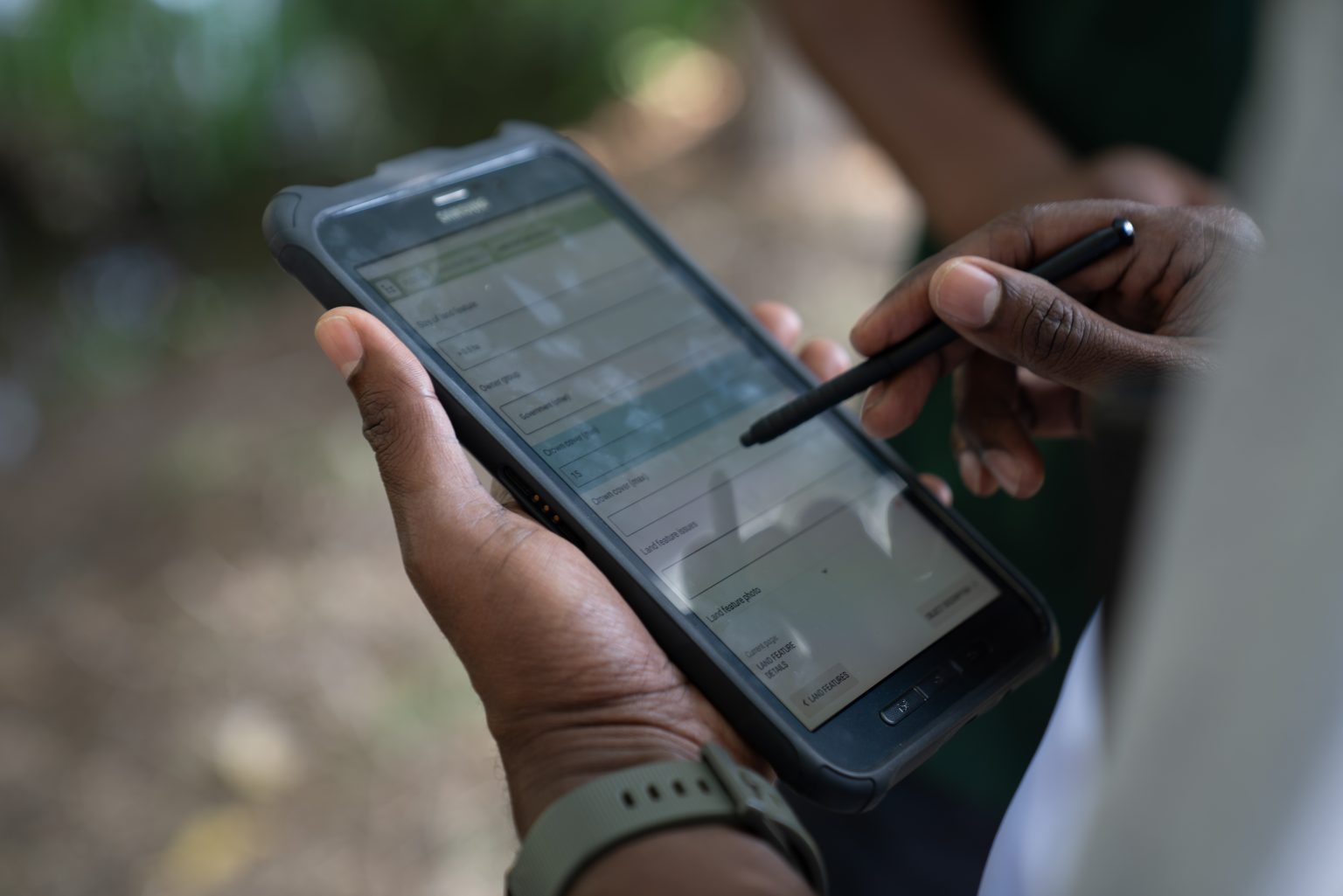 Arena Mobile – Open Foris