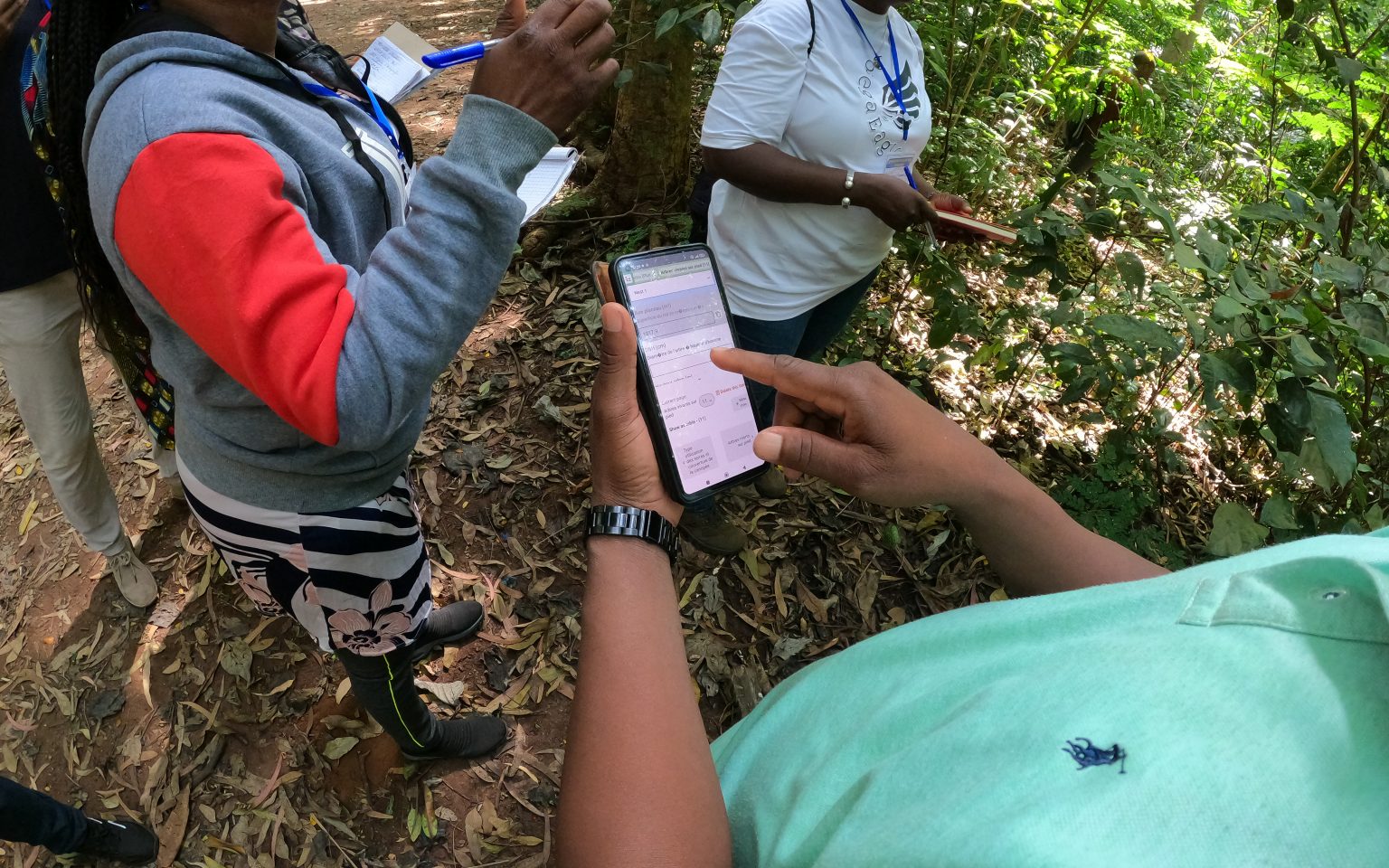 Arena Mobile – Open Foris